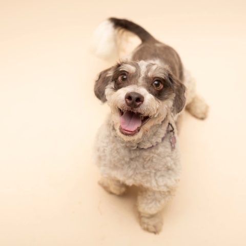 Home - Lange Foundation